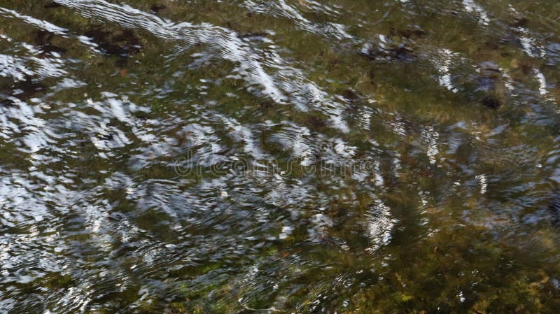 Clear Source Water Flows in the Background Stock Photo - Image of ...