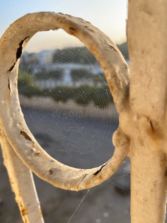 Clear Spider Web Outside the Window Stock Photo - Image of window ...