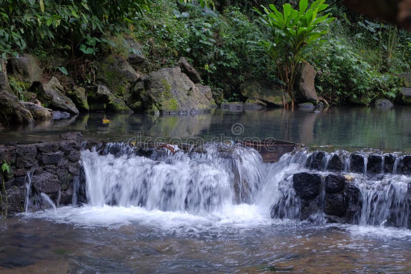 Bunut Ngengkang, Spring in the Midle of Forest Stock Image - Image of ...