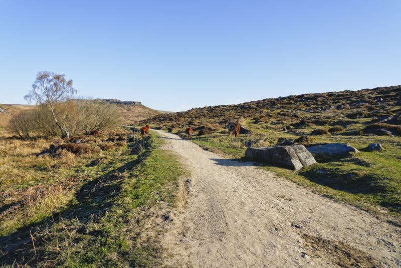 Clear Spring Morning on Burbage Edge in Derbyshire Stock Image - Image ...