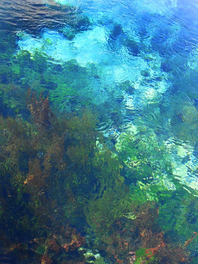 Clearest Natural Spring Water Stock Photos - Free & Royalty-Free Stock ...
