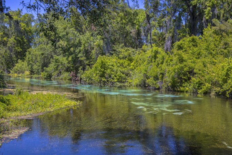 A Clear Spring Water in Norway Stock Image - Image of water, global ...