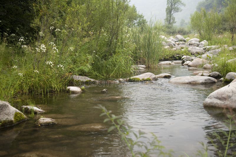 Clear stream stock photo. Image of natural, bourn, placid - 17065664
