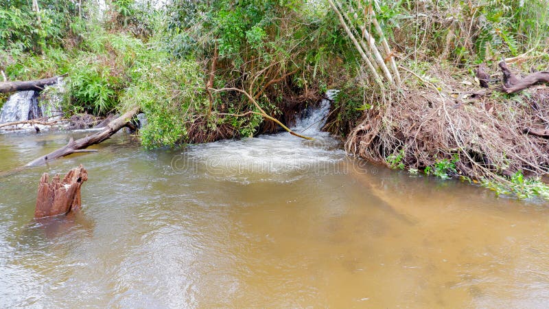 A Clear Stream Flowing in a Small Forest Stock Photo - Image of ...