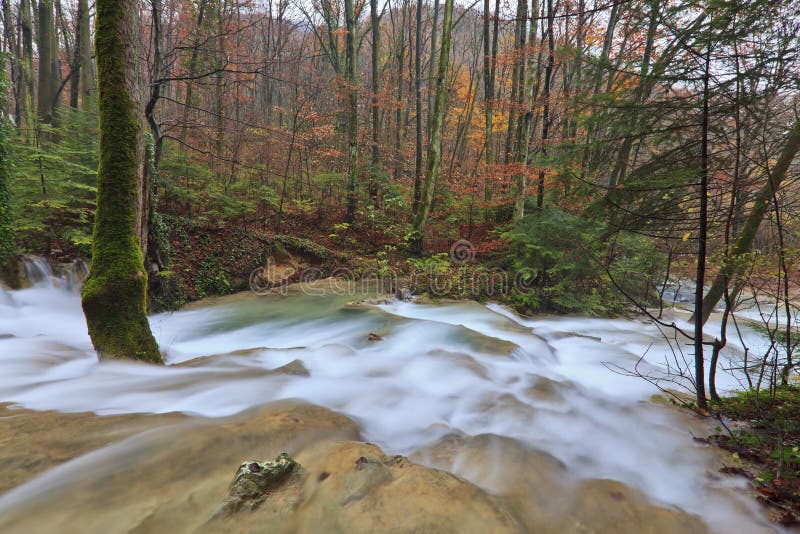 Clear Stream and November Foliage in the Mountains Stock Image - Image ...
