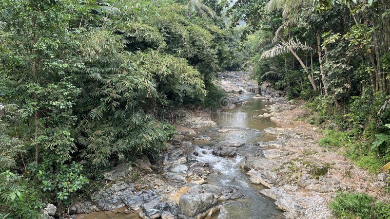 A Clear Stream Passing through Large Rocks and Forest Greenery ...