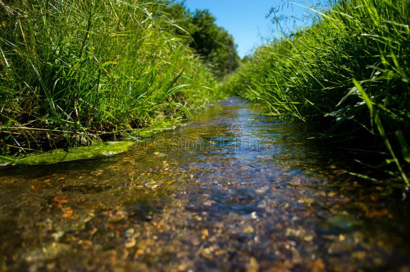 Clear Stream In Green Grass. Stock Image - Image of stone, clean: 20812659