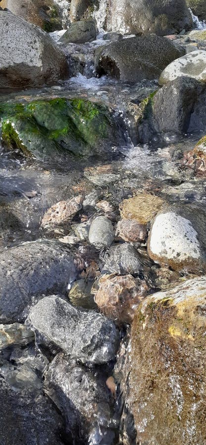 Clear Stream Flowing through a Forest and Green, Moss-covered Boulders ...