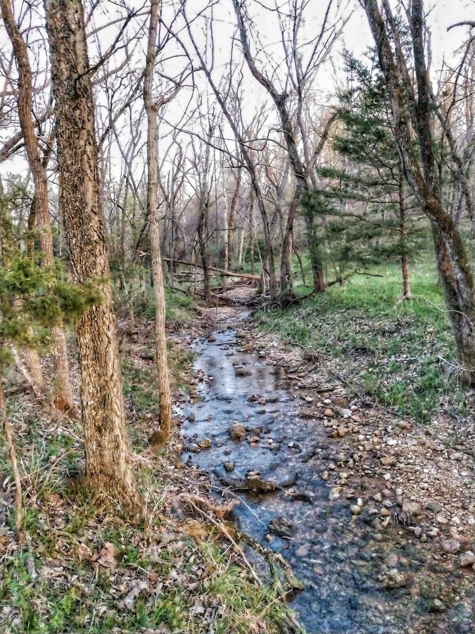 Clear Streams stock photo. Image of clear, water, streams - 147335396