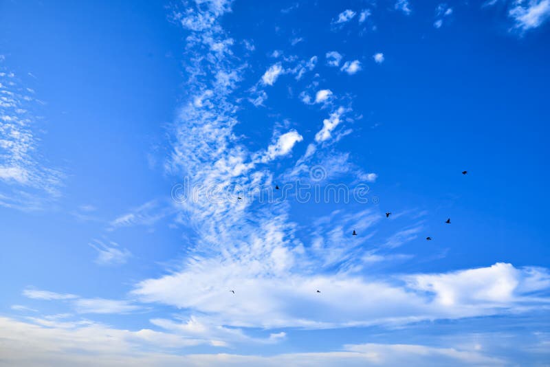 Clear Summer Blue Sky with a Beautiful Cloud Stock Photo - Image of ...