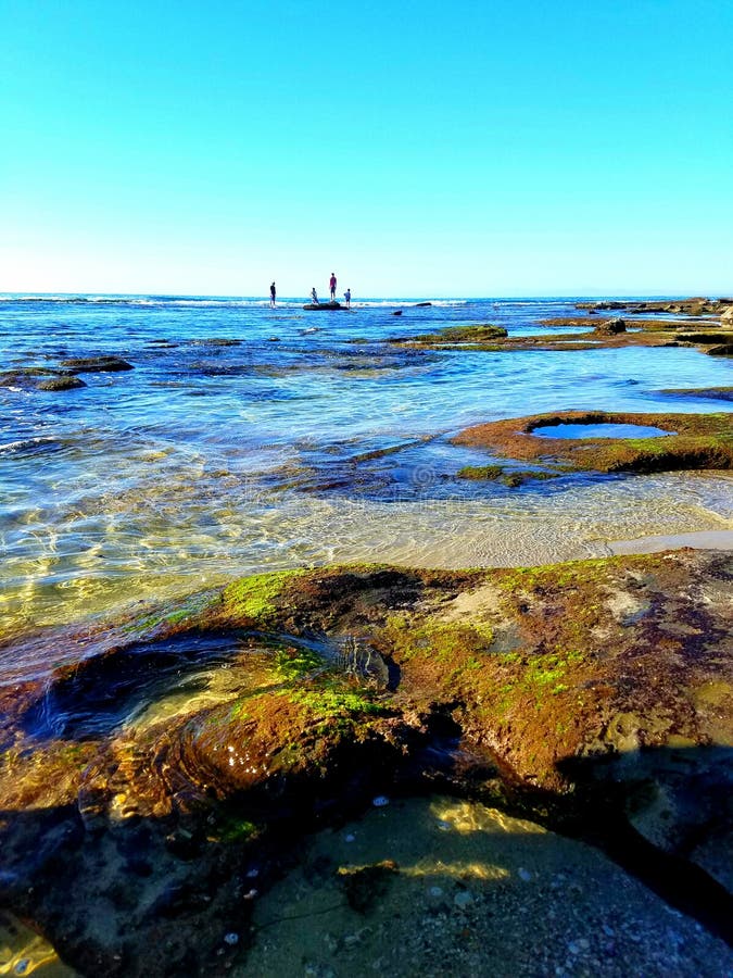 206 Tides Pools Stock Photos - Free & Royalty-Free Stock Photos from ...