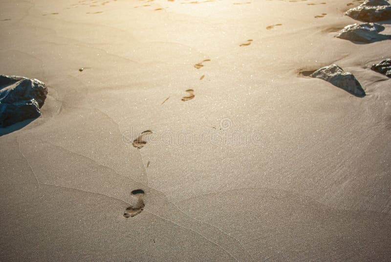 Human Footprints Walking Along the Coast. Clear Traces of Bare Human ...