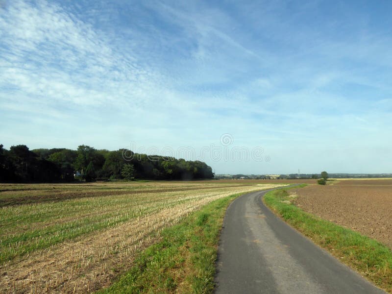 Clear track through fields stock photo. Image of amlyd - 275575090