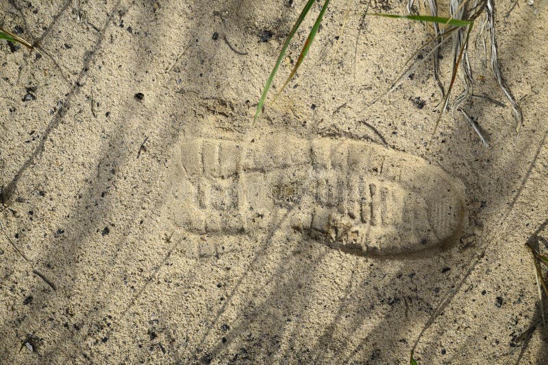 A Clear Trail of Boot on Sand Stock Photo - Image of equipment, sunny ...
