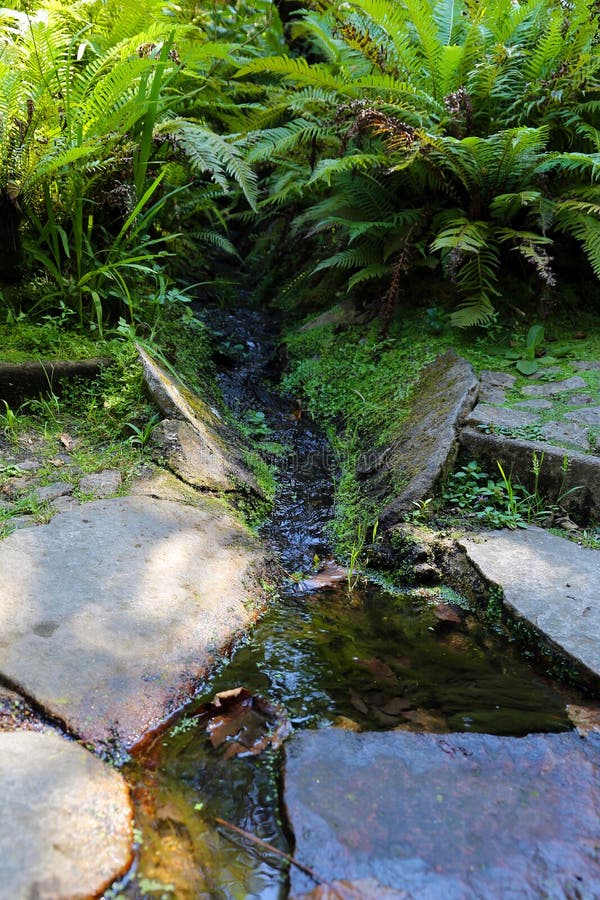 Clear Transparent Water from Natural Stream Stock Photo - Image of ...
