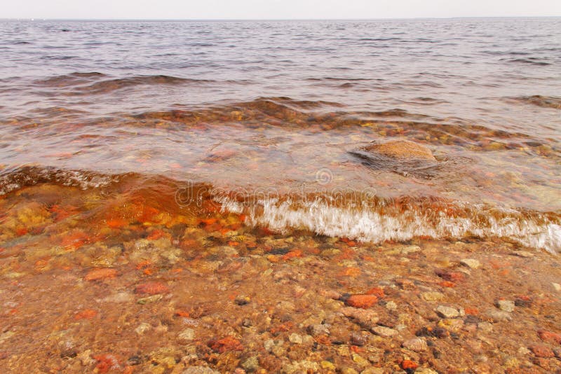A Clear Transparent Wave Rushing Onto the Shore Stock Photo - Image of ...