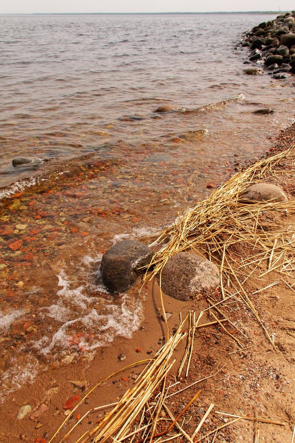 A Clear Transparent Wave Rushing Onto the Shore Stock Image - Image of ...