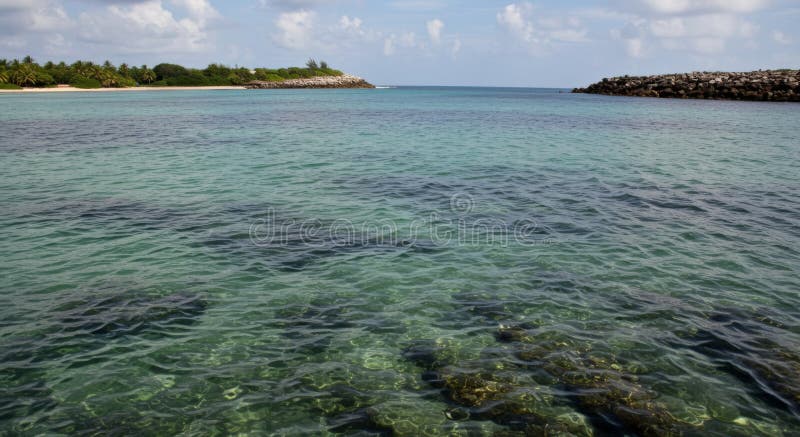 Clear Turquoise Ocean Water at Tropical Beach Stock Illustration ...