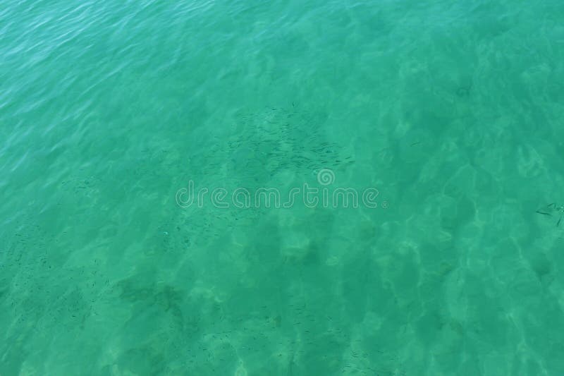 Clear Turquoise Water with Visible Tiny Fish and Subtle Underwater ...