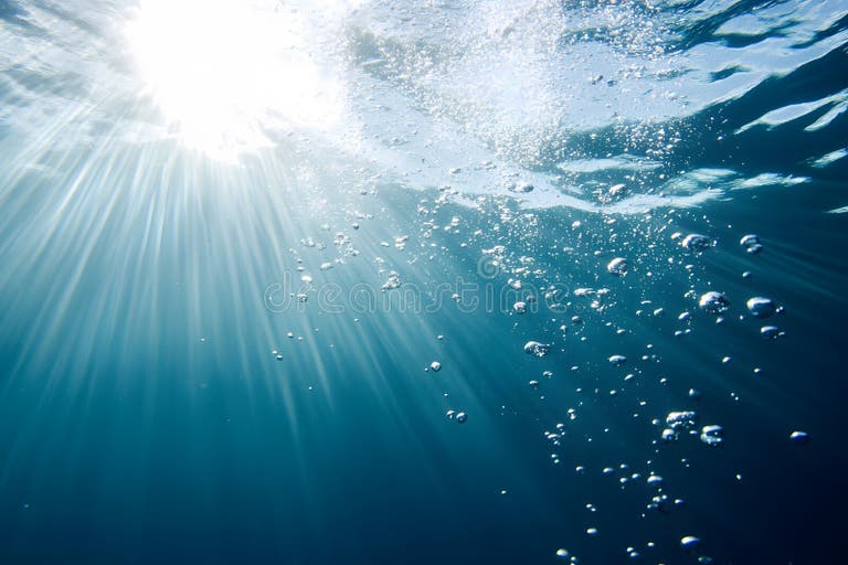 Clear Underwater Ocean View with Sunlight Filtering through Surface ...