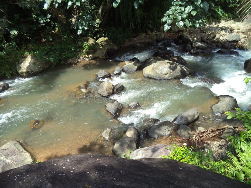 Clear and Unpolluted River within the Mountains Stock Photo - Image of ...