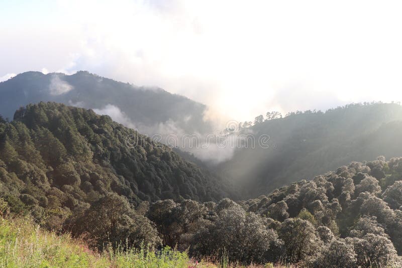 Hills with Trees in Dehradun Stock Image - Image of hills, view: 129986731