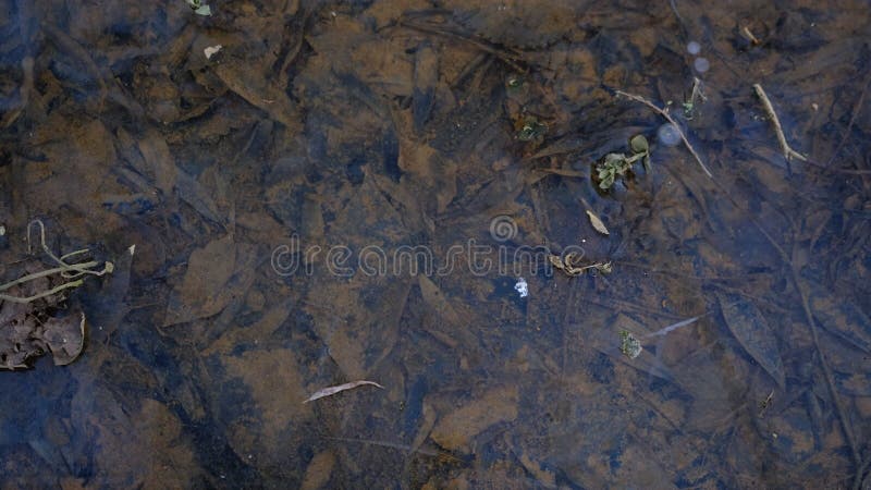 Clear View of Water Flowing Under the Ice Frozen Crust Layer Liquid ...