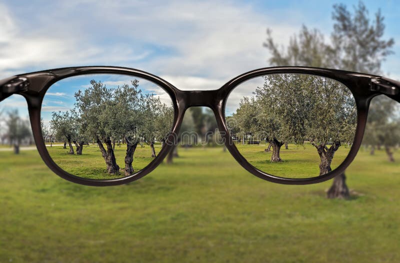Clear Vision Over Trees Field Background Stock Photo - Image of clear ...