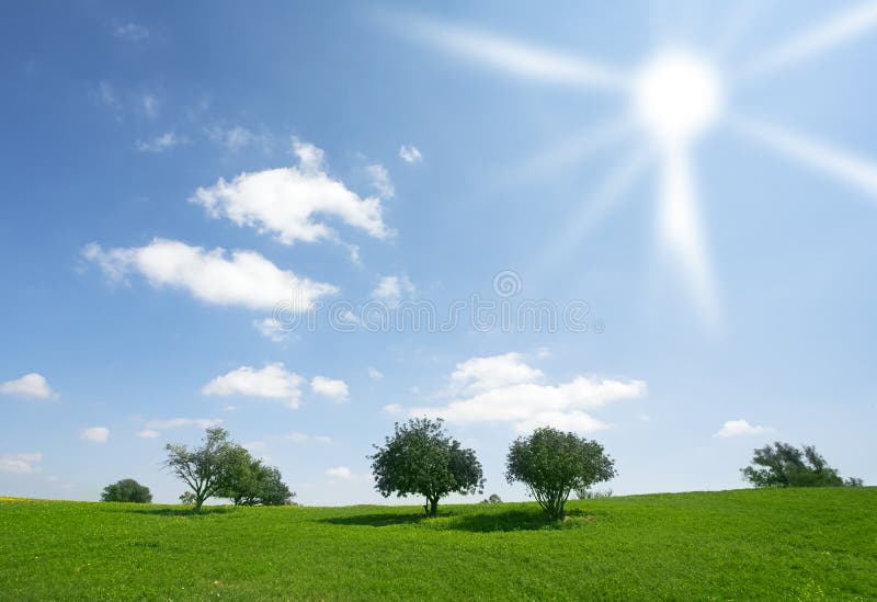 Clear and Warm Spring Day in Fields Stock Image - Image of beauty ...