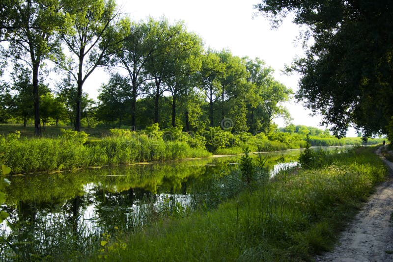 Clear water channel stock photo. Image of foliage, blue - 42313366