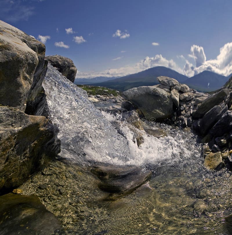 Clear water stock image. Image of beautiful, leaf, etsya - 90741807