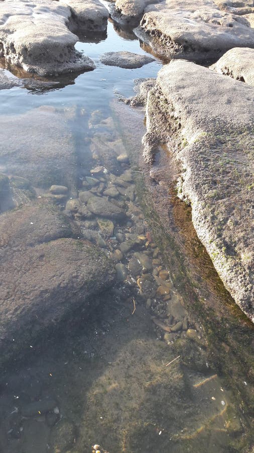 Clear water stock photo. Image of clear, beauty, rocks - 122834292