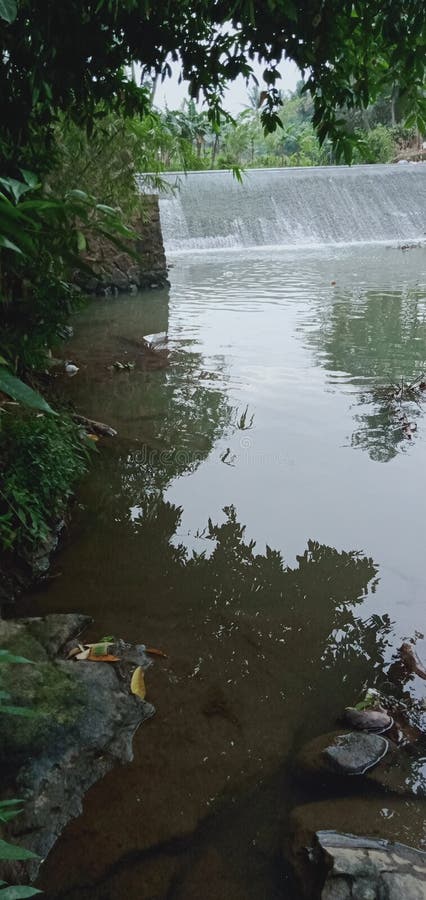 Clear Water Dam Greenish White and a Little Trash Stock Image - Image ...