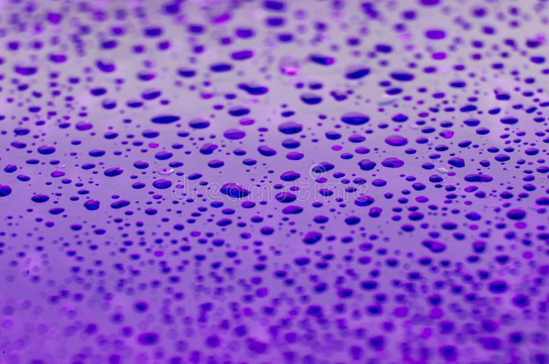 Clear Water Droplets on Purple Color Background. Water Droplets Concept ...