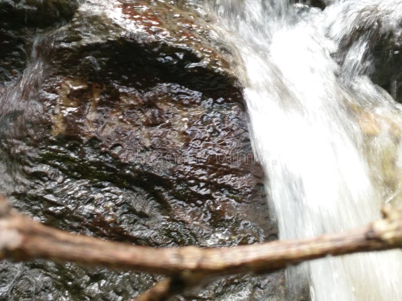 The Clear Water Flow from the Spring Stock Image - Image of forest ...