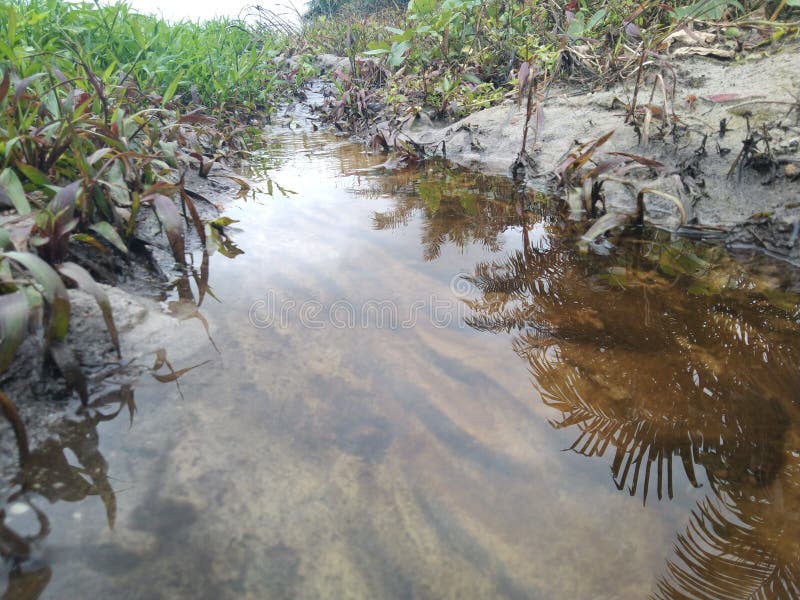Clear Water Flowing in the Middle of a Small River with a Shadow Stock ...
