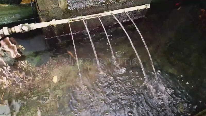 Clear Water Flowing from PVC Pipes into a Small Pond Stock Video ...