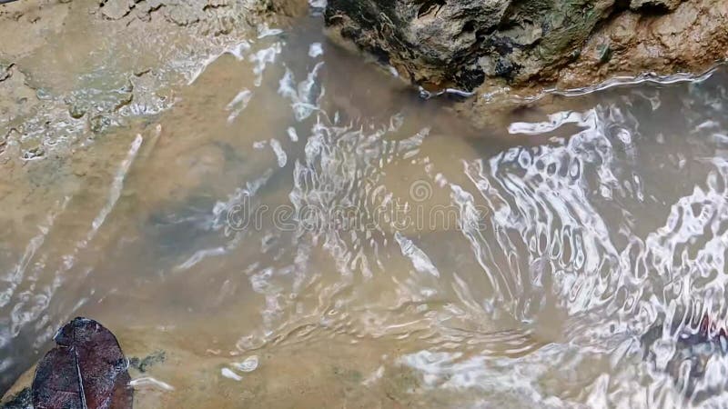Water Flows Over Rocks in a Mountain River Stock Footage - Video of ...