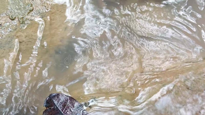 Water Flows Over Rocks in a Mountain River Stock Footage - Video of ...