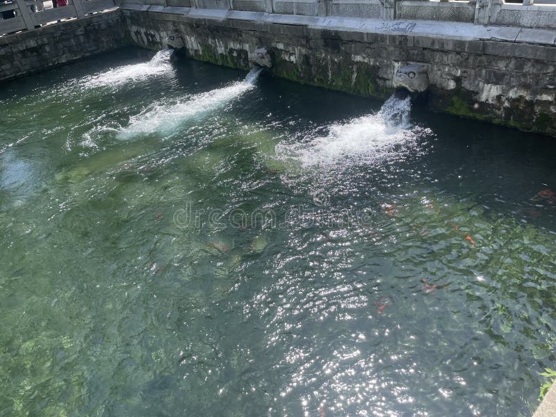 Spring water, rocks stock image. Image of water, rapid - 371215953