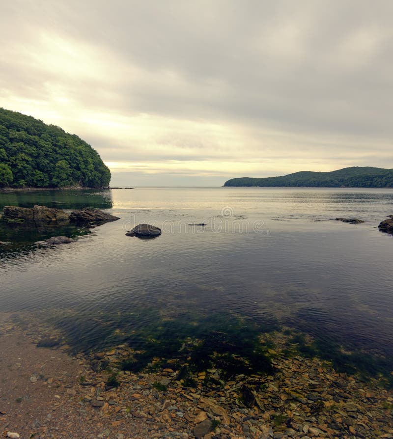 Clear Water in the Forest Cove. Stock Photo - Image of dawn, ocean ...