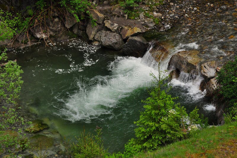 Clear Water in Forest Stream Stock Image - Image of jungle, clear ...