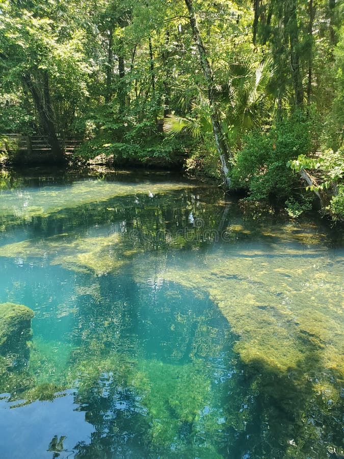 Clear Water Hot Springs in Florida Stock Image - Image of florida ...
