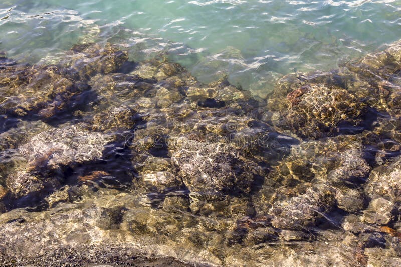 Looking Down at Rocks Below the Water Line in the Occean Stock Photo ...