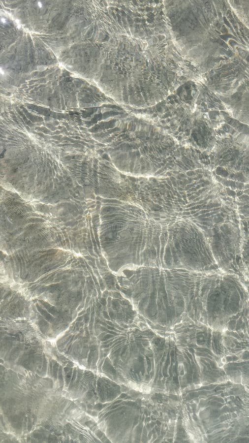 Clear water stock photo. Image of looking, sand, shallow - 45880470