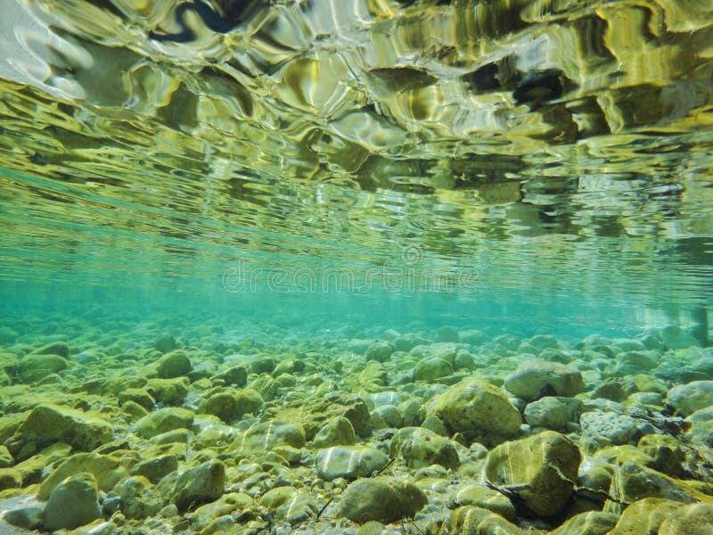 Underwater Scenery, Underwater River Habitat Stock Image - Image of ...