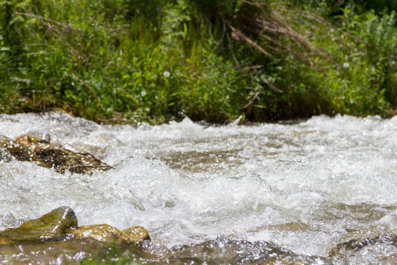 Clear water in the river stock photo. Image of scene - 72736096