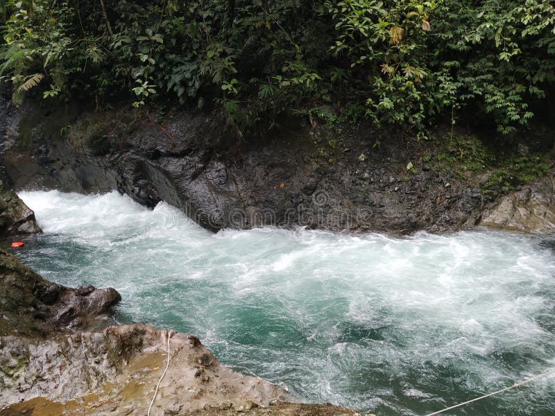 Clear Water River and Forrest from Central Java Stock Photo - Image of ...