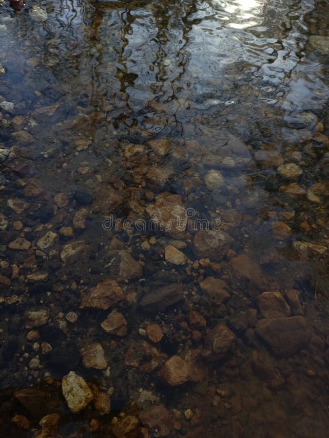 Clear Water with Rocks on the Bottom Stock Photo - Image of pebble ...