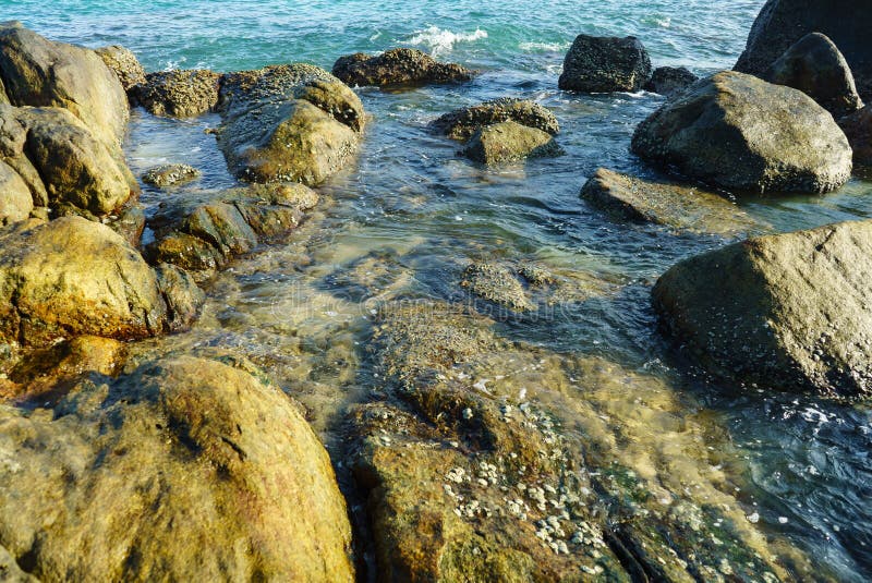 Clear Water on a Rocky Ocean Shore Close Up Stock Image - Image of ...